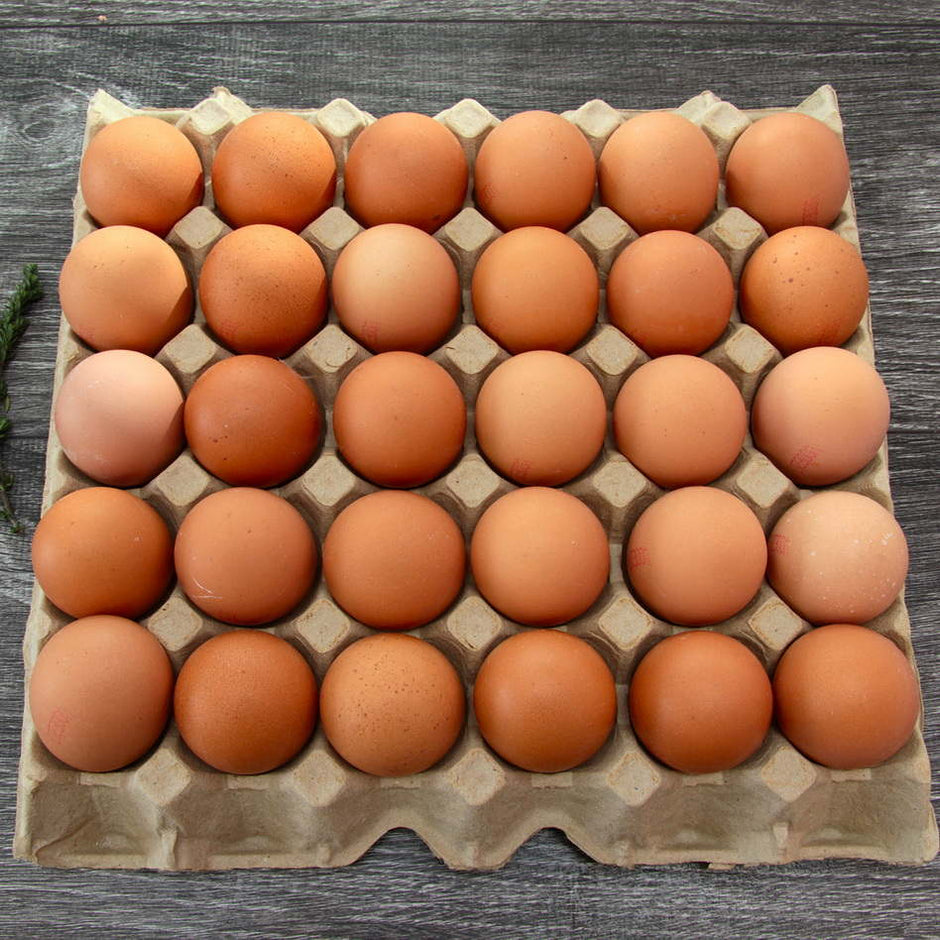 Products – Urban Eggs